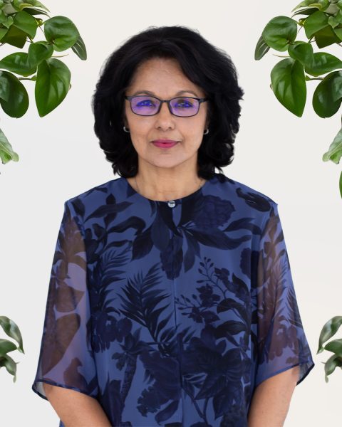Meet Our Academic Team – Hibiscus International School
